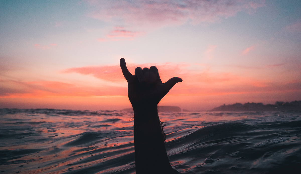 Is It Yew or Yeww or Yewww? A Definitive Guide | The Inertia