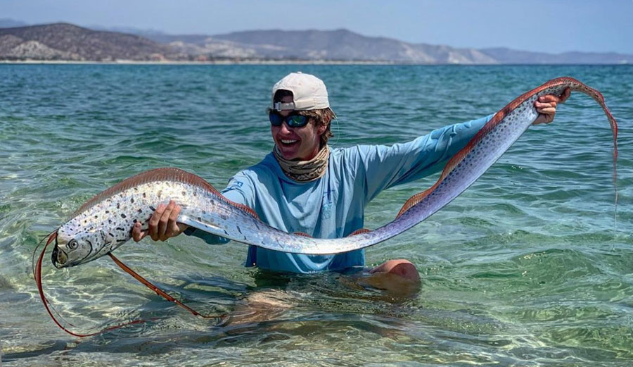 Brothers Find Extraordinarily Rare Oarfish Alive on Baja Beach | The ...
