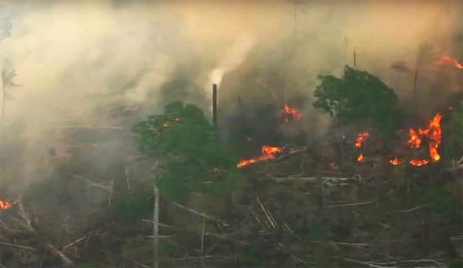 The Amazon Rainforest Is Burning at an Unprecedented Rate and Almost ...