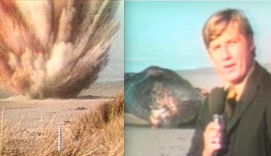 49 Years Ago, Oregon Officials Used Dynamite to Blow Up a Whale on a ...