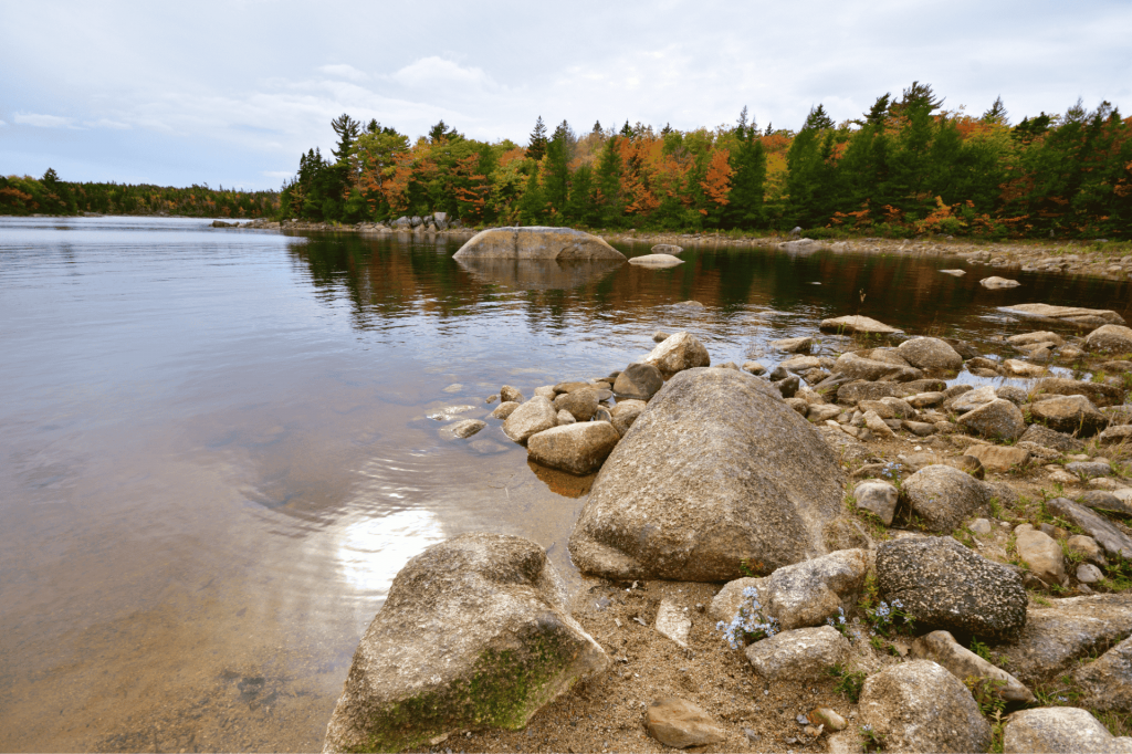 8 Historic Trails to Explore Near Halifax