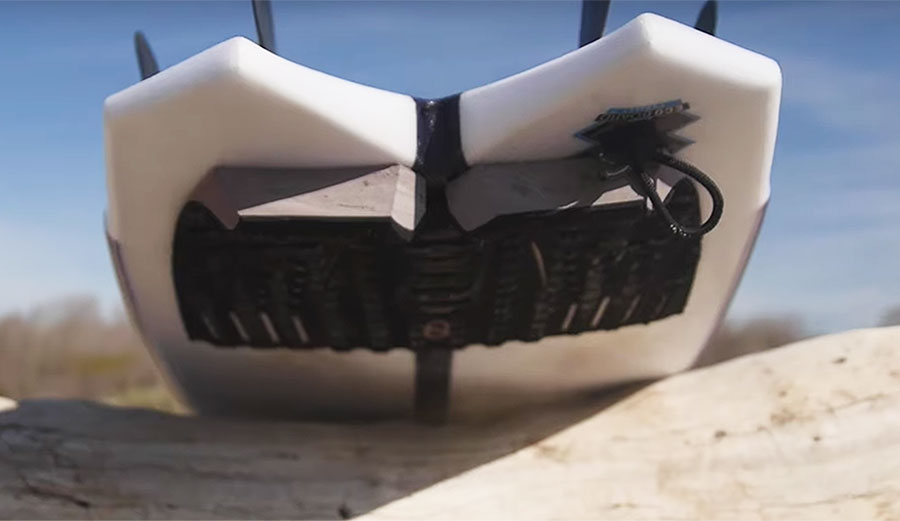 Daniel ‘Tomo’ Thomson Explains How the Crazy Tailed El Tomo Fish Came ...