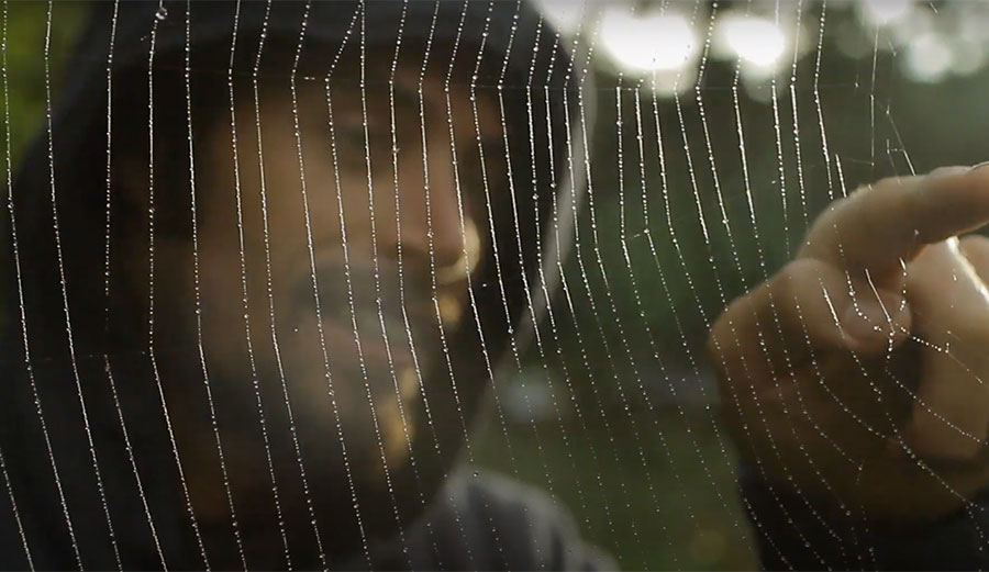 A Day In the Life of Dave: Rasta’s Section from 2012’s ‘Here & Now ...