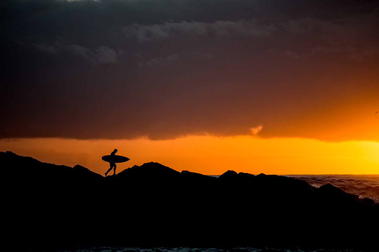 10 Surf Photography Tips Guaranteed to Improve Results | The Inertia