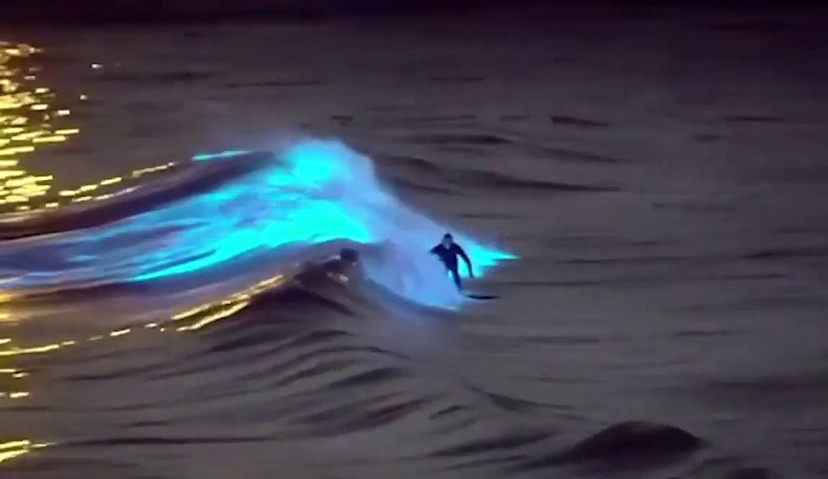 Surfrider Is Researching Health Issues for Anybody Who Surfed SoCal’s ...
