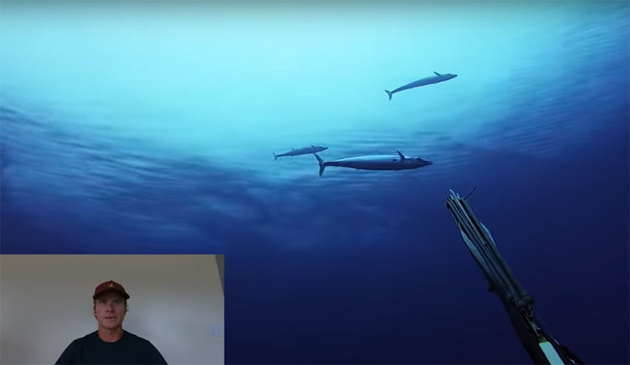 Mark Healey Breaks Down Exactly How He Speared This Giant Wahoo | The ...