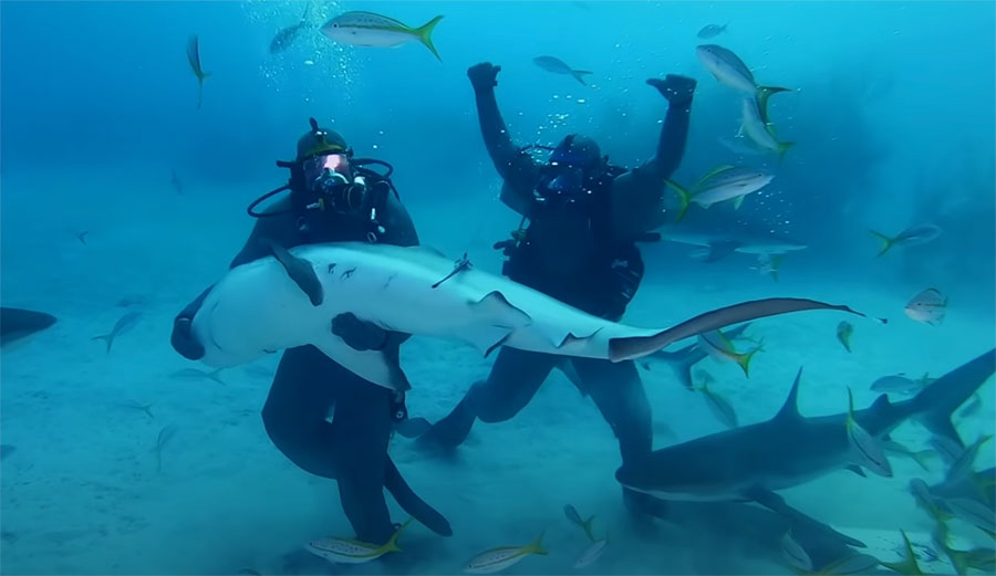 Watch Mike Tyson ‘Fight’ a Shark for Shark Week | The Inertia