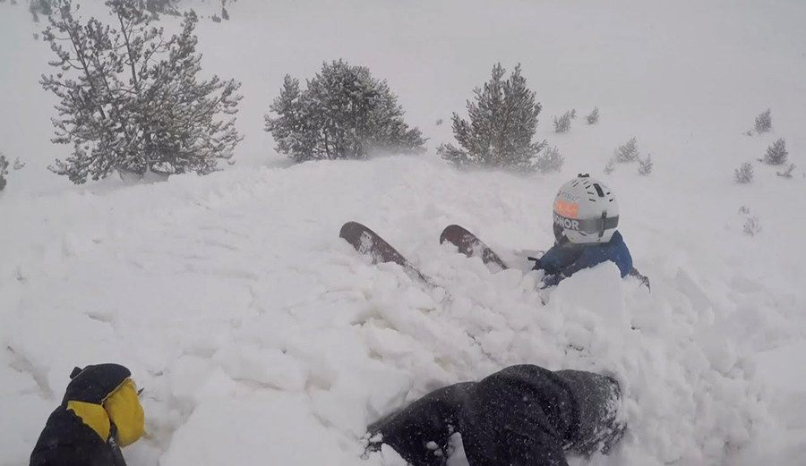 Gnarly Avalanche That Sent Skiers Bashing Through Trees Good Reminder ...