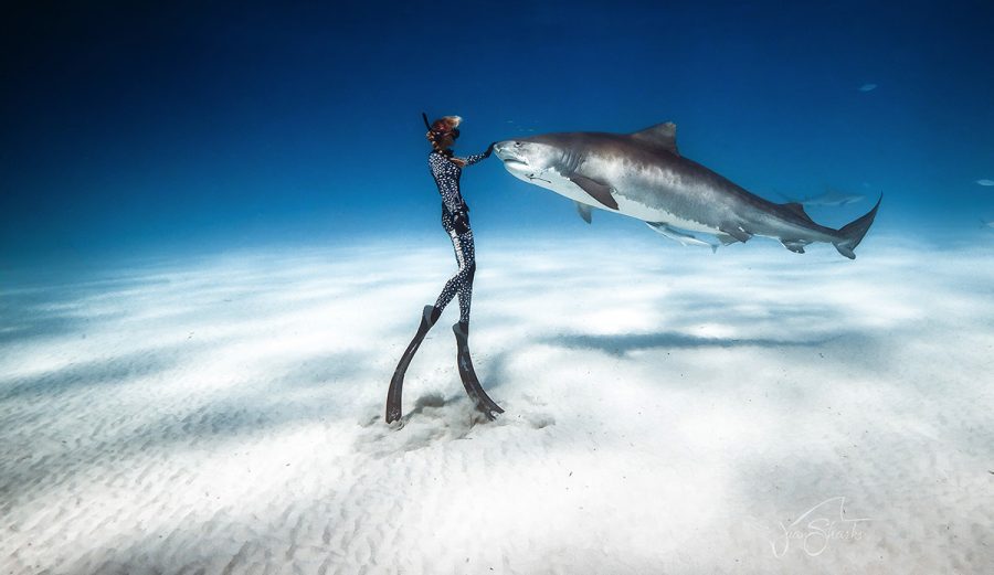 Ocean Ramsey On What To Do In a Shark Attack