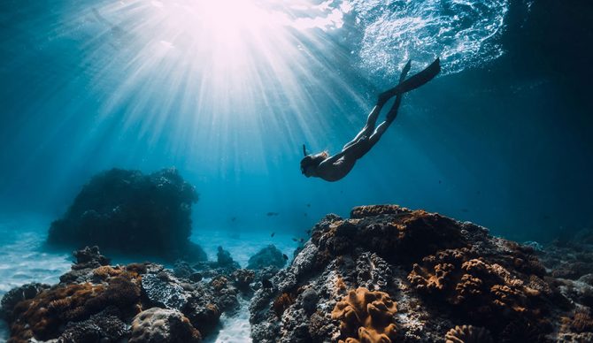 The Mighty Pacific Ocean Is In Serious Peril | The Inertia