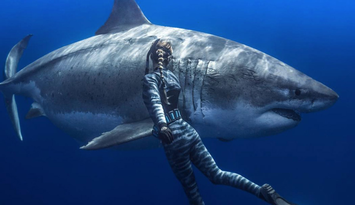 Ocean Ramsey Discusses the Importance of Body Language in Sharky Waters