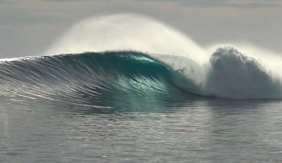 Hollow Trees Was Mind-Bendingly Perfect on the First Day of 2021 | The ...