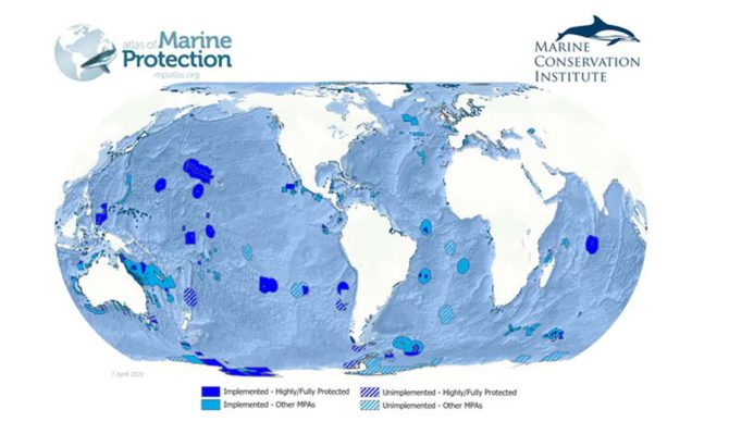How Marine Protected Areas Help Safeguard the Ocean