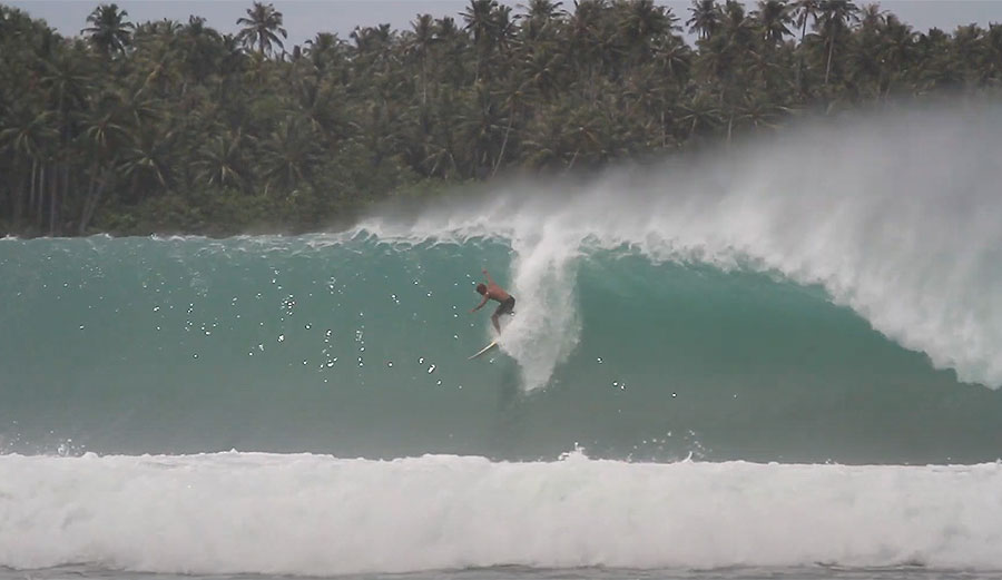 This Is the Biggest Nias Has Been in 2021