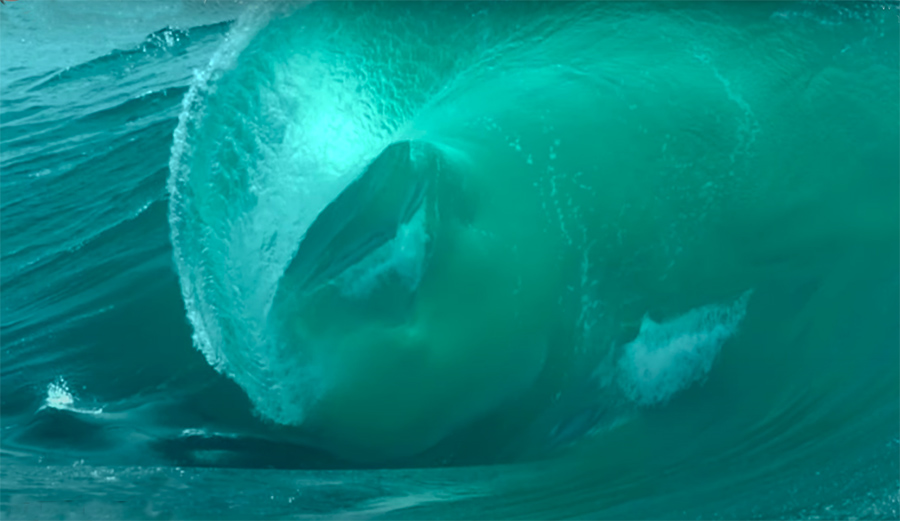 The Art of Infinity: 12 Captivating Minutes of Nature in Slow Motion