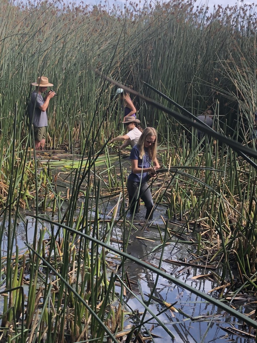 Traditional Kumeyaay Tule-Boat Launch Highlights California's ...