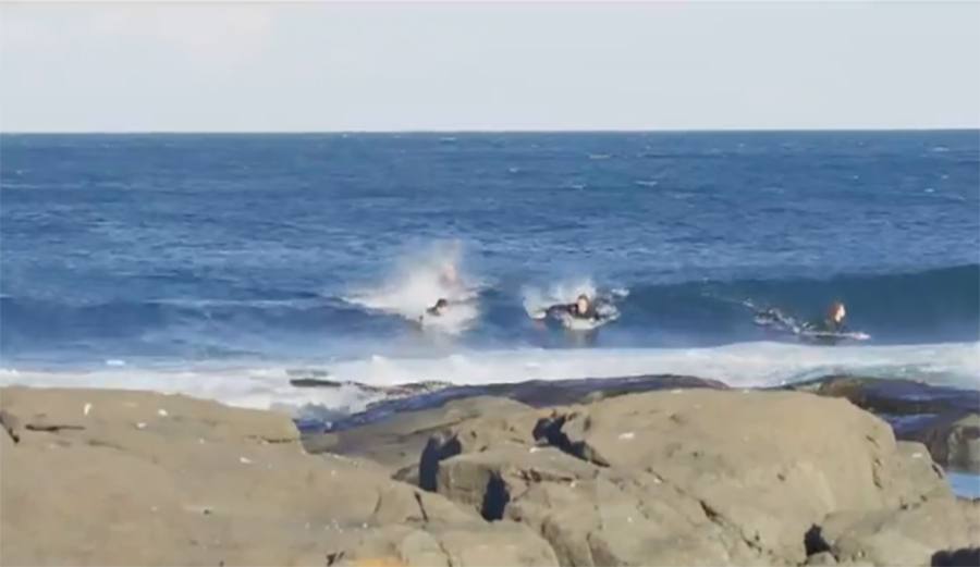 These Australian Surfers Were Chased From the Water by a Great White ...