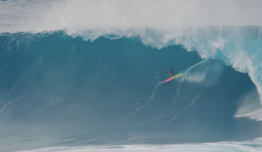 Jaws Roars Back to Life on Opening Day | The Inertia