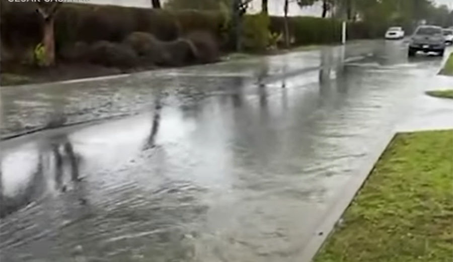 Poop Runs Through the Streets After Raw Sewage Spill In California