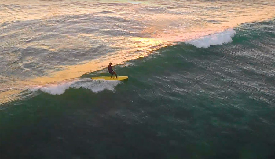 Corey Colapinto, a 10'3" Donald Takayama, and a Lonely Mexican Wave