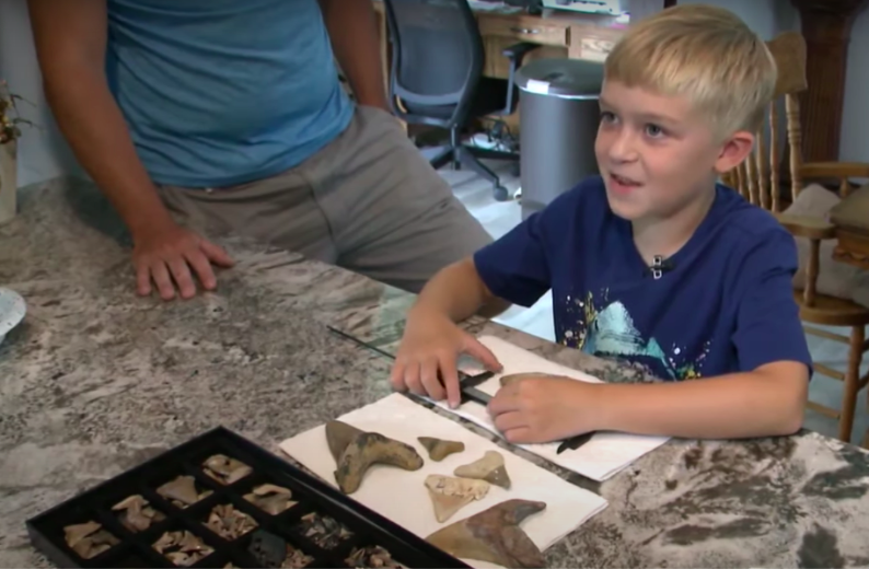 Kid Discovers Prehistoric Shark Tooth While Vacationing in South ...
