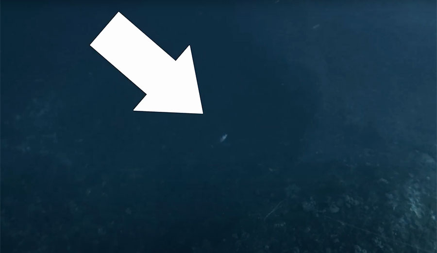 Watch This Guy Untangle a Speared Tuna at 130 Feet Deep