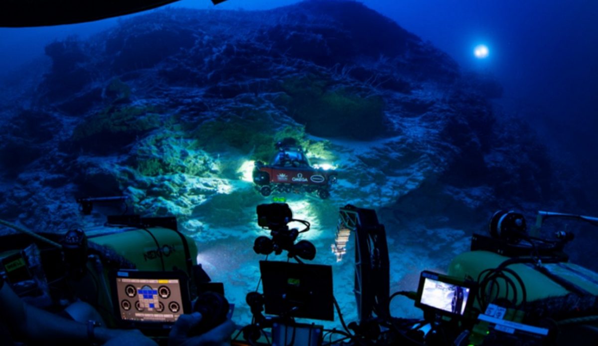 Researchers Discover 'Deep Ocean Oasis' in the Maldives