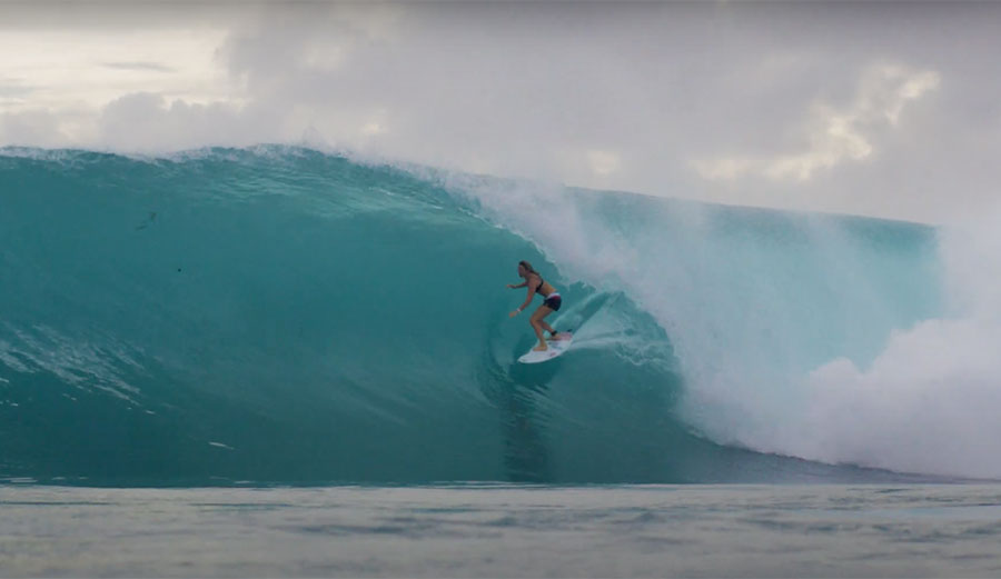 Coco Ho and Friends Score Dream-Like Hollow Trees