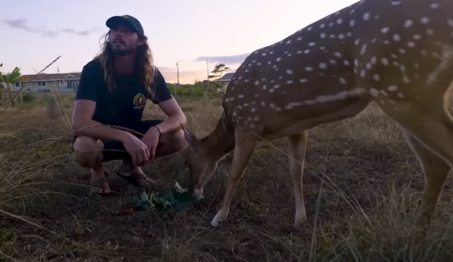 Matt Meola Talks Airs at the Pipe Masters and Feeds His Pet Deer | The ...
