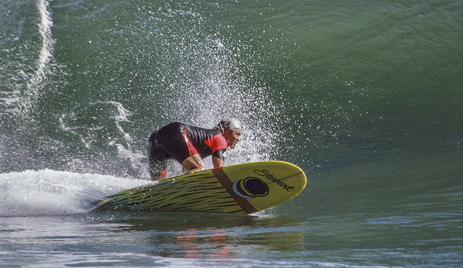 Log or High Performance: What Type of Longboard Are You Riding?