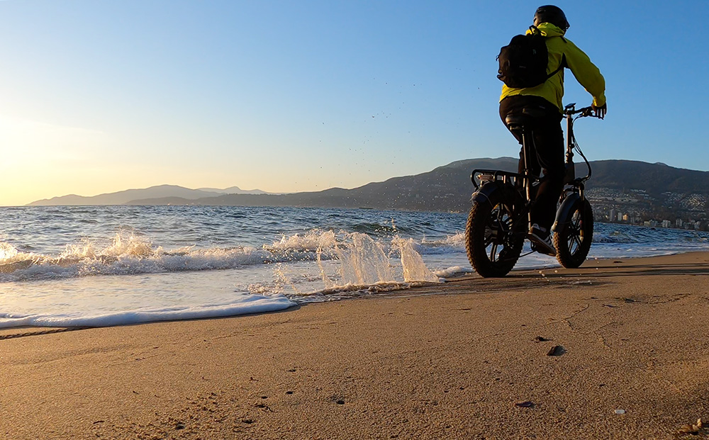 Engwe Engine Pro E-Bike Review | The Inertia