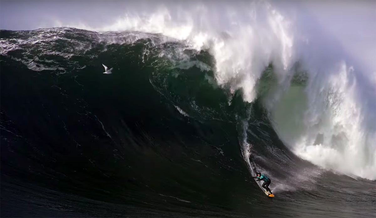 Tim Bonython Just Documented the 'Cortes Bank of Ireland'