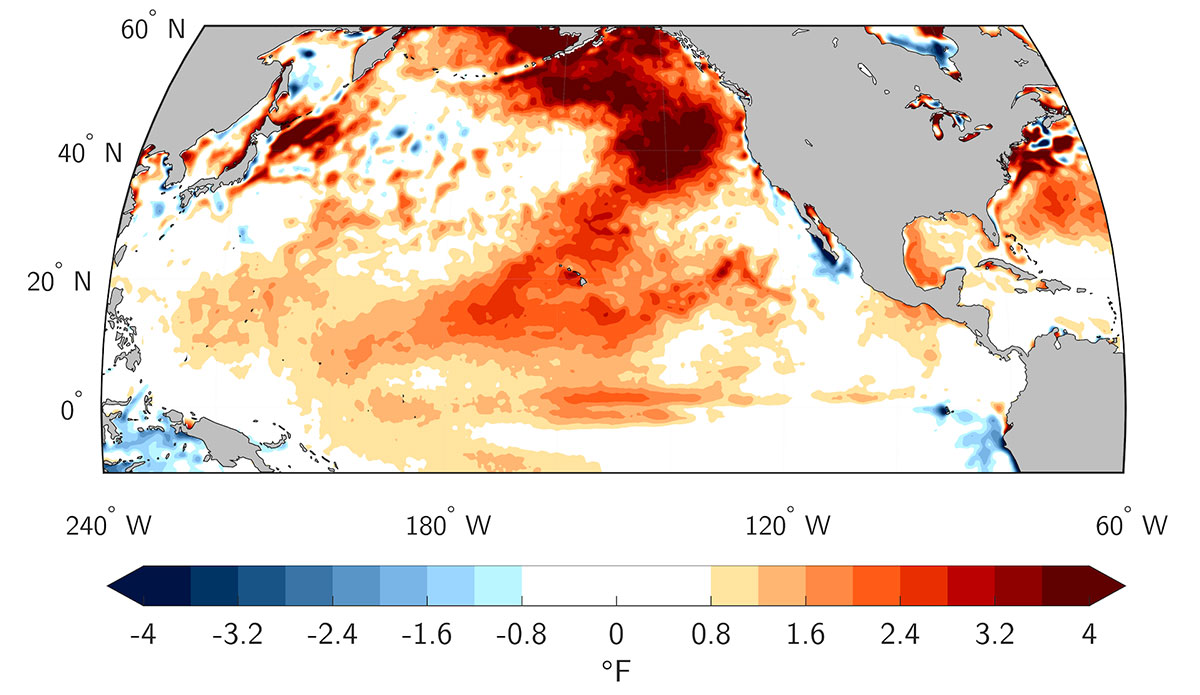 El Niño Is Coming, and It Could Spell Disaster for Fish and Corals