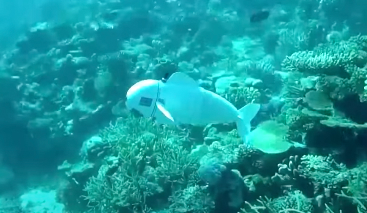 Robot Spy Fish Silently Prowls the Ocean For DNA Samples