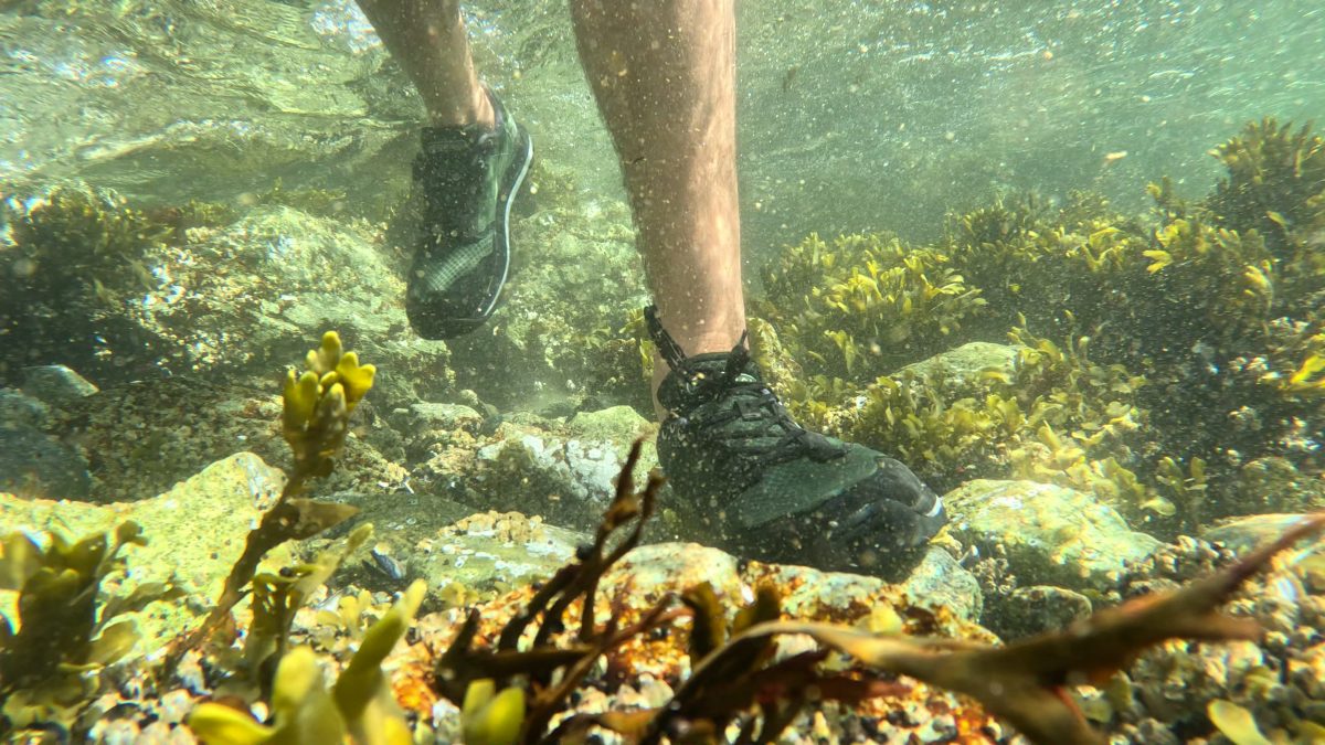 6 Best Water Shoes of 2024 | The Inertia Tested