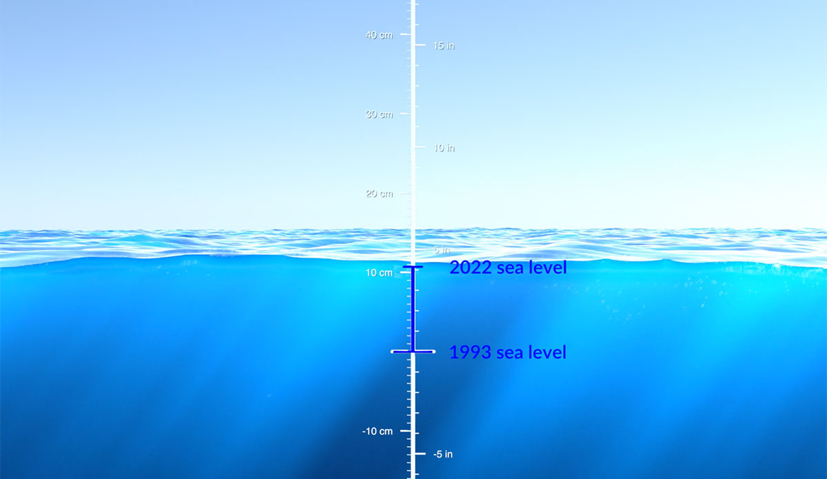 NASA Releases Frightening Animation Showing Just How Much Our Seas Have ...
