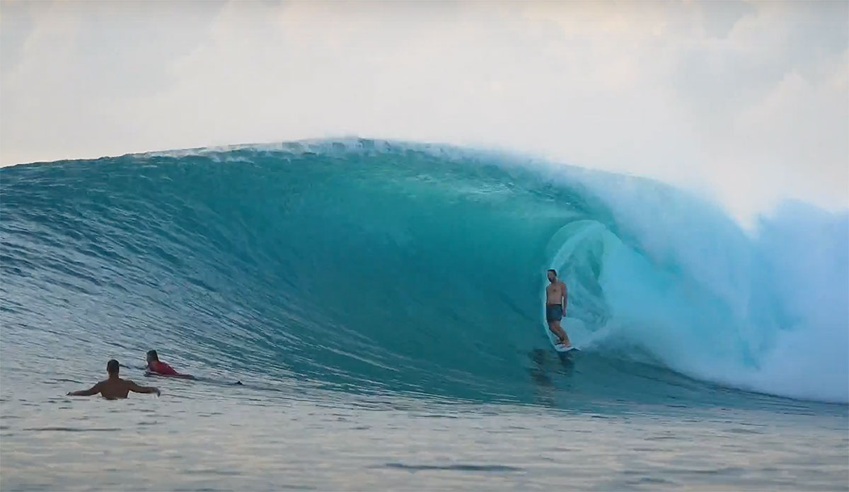 Hollow Trees Perfection: Witness One of the Most Epic Days