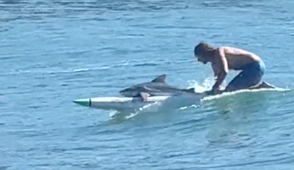 This Guy Surfed Tandem With a Dead Shark