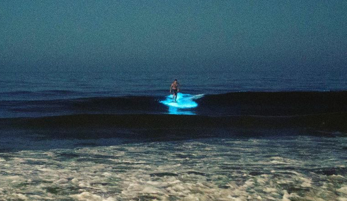 Bioluminescent Algae Bloom Creates Glowing Waves for California Surfers