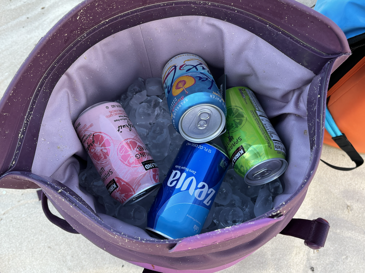 The Best Backpack Coolers of 2024 | The Inertia