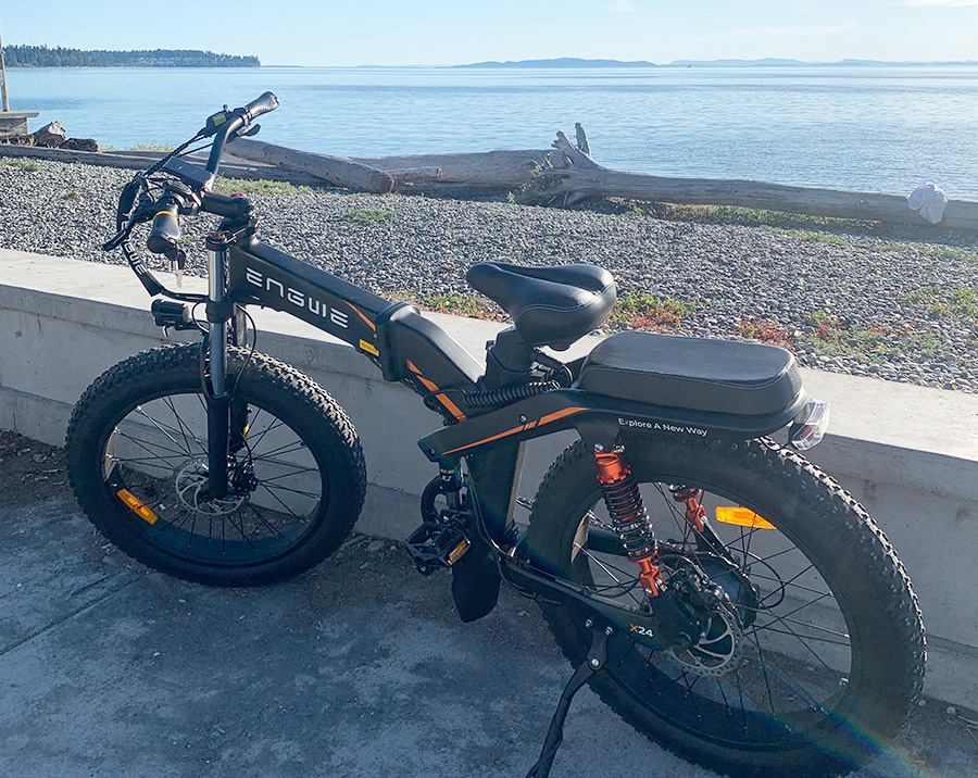 Engwe X24 Fat Tire Electric Bike Review | The Inertia