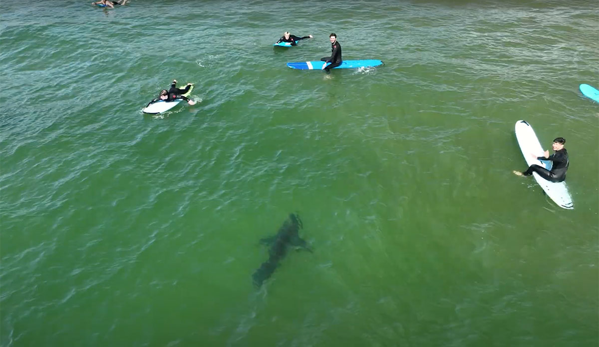 Of Sharks and Surfers: Examining a History of Interactions