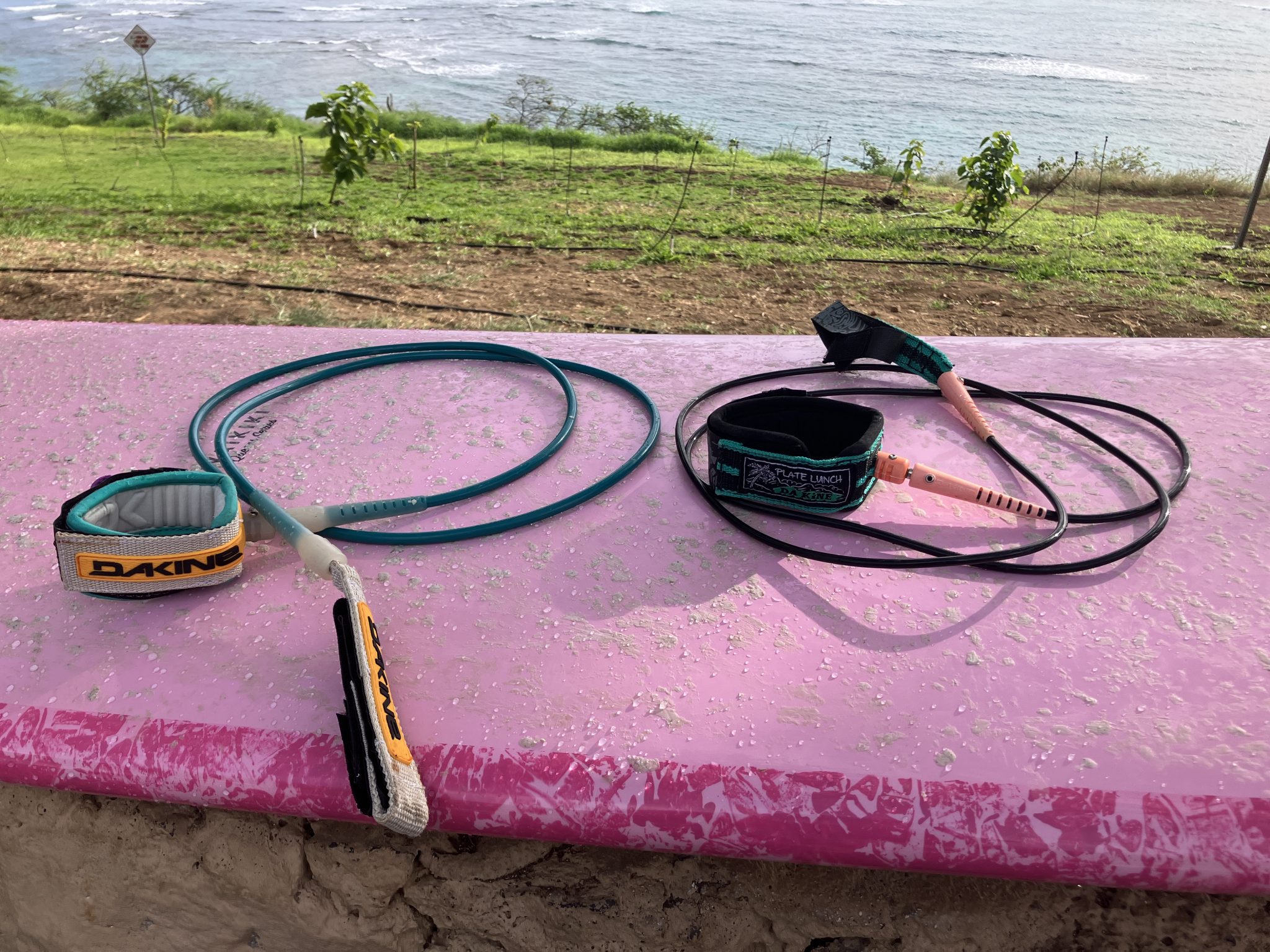 Best Surfboard Leashes | The Inertia Tested