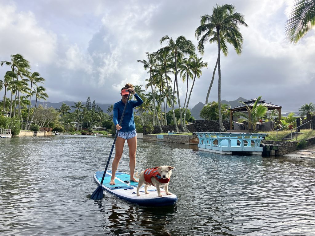 7 Best Inflatable Paddle Boards of 2025 | The Inertia Tested