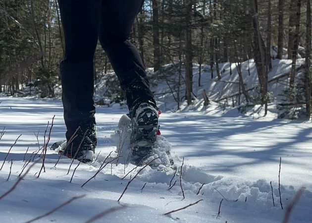 The Best Snowshoes of 2024 | The Inertia