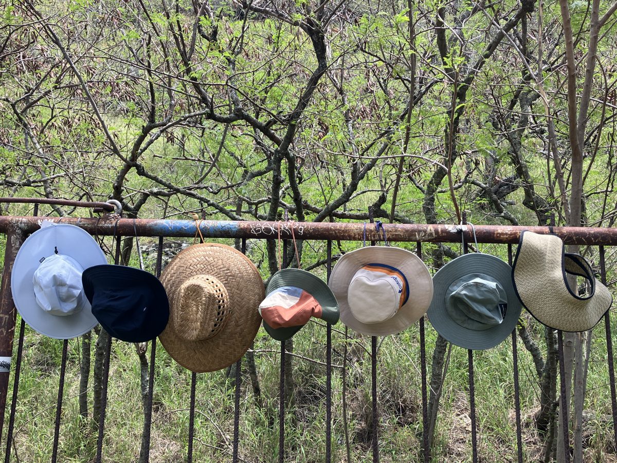 Best Sun Hats | The Inertia Tested