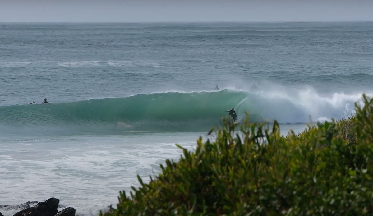 Bruce's Beauties Was Firing on March 25th, and It's Iconic for a Reason