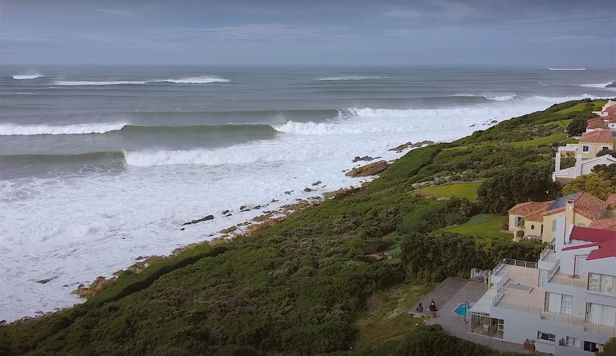 The Iconic Bruce's Beauties of 'Endless Summer' Fame Went Richter on ...