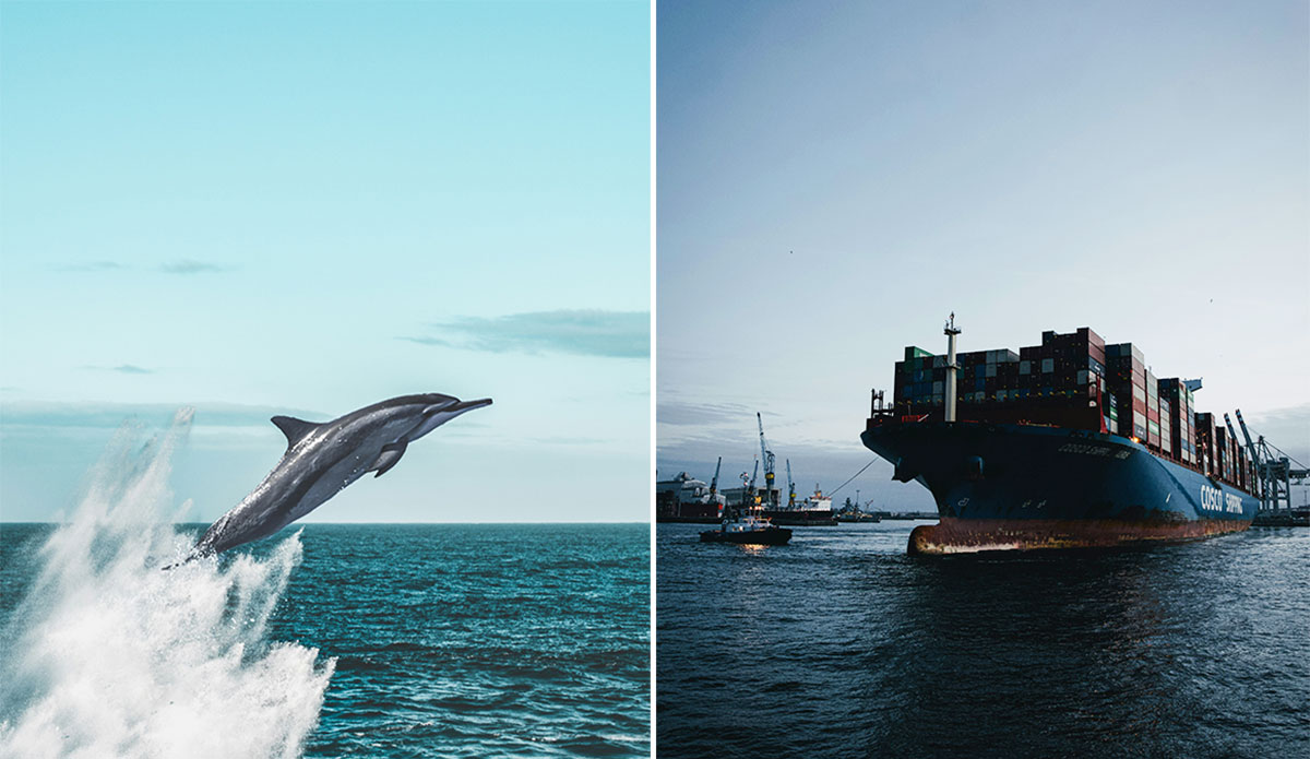 Dolphin Skin Ship Propeller Slashes Costs and CO2 Emissions