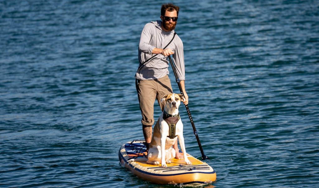 What’s the Best Paddleboard for You This Summer?